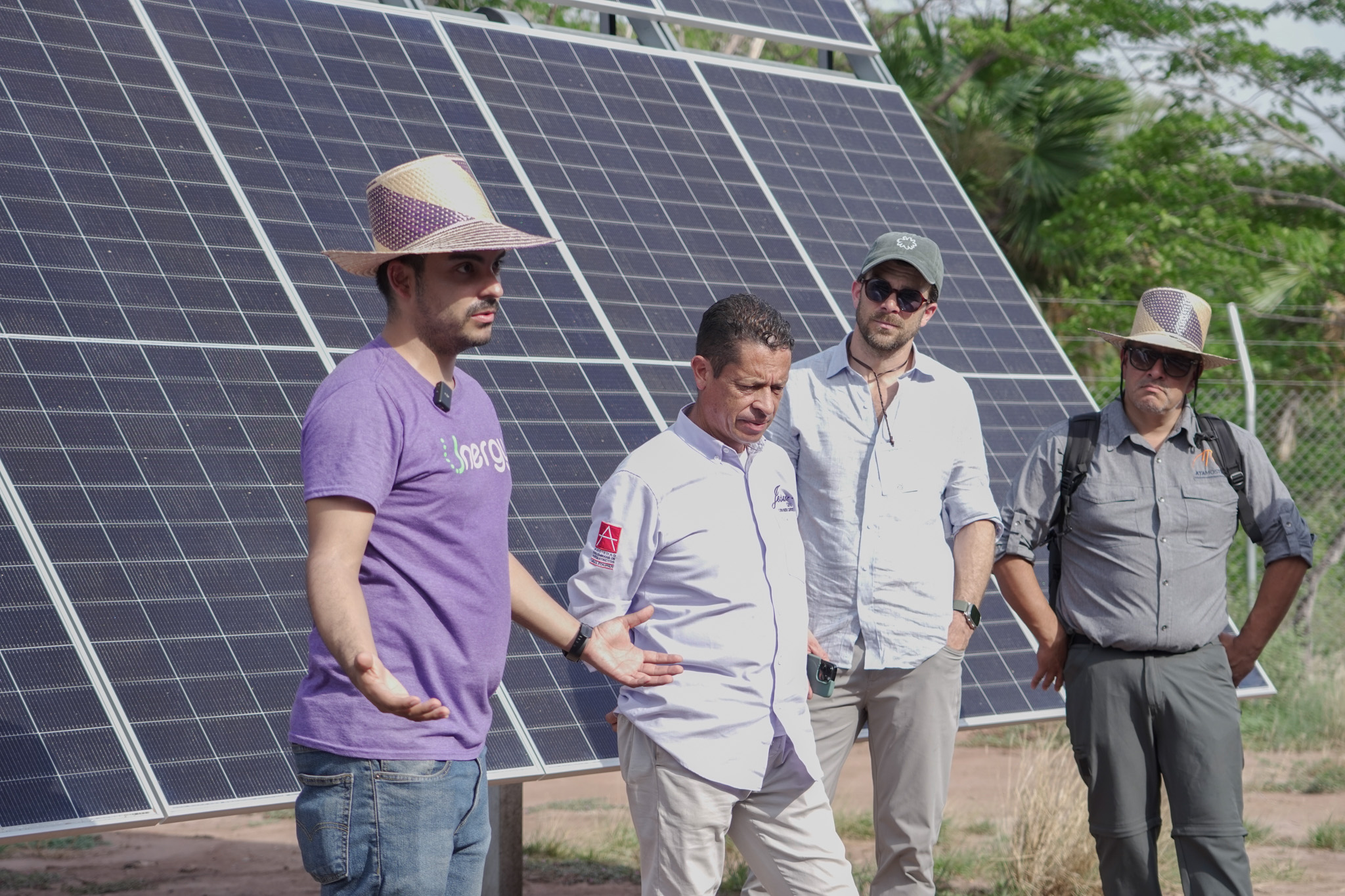 Unergy y sus mini granjas solares: un avance en agrovoltaíca para ...